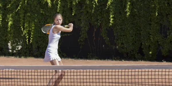 Ready to hit back - Stock Image - Everypixel