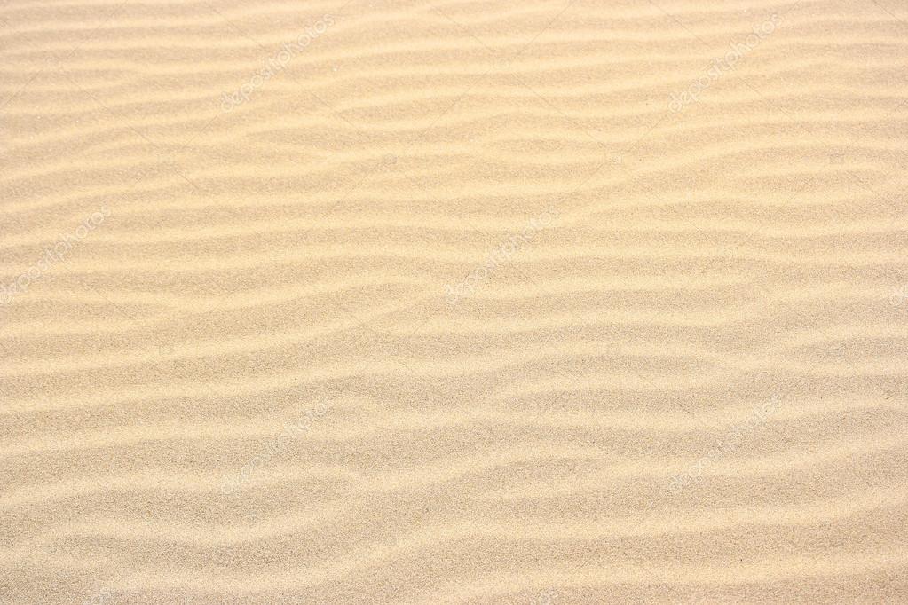 Sand Dunes Texture