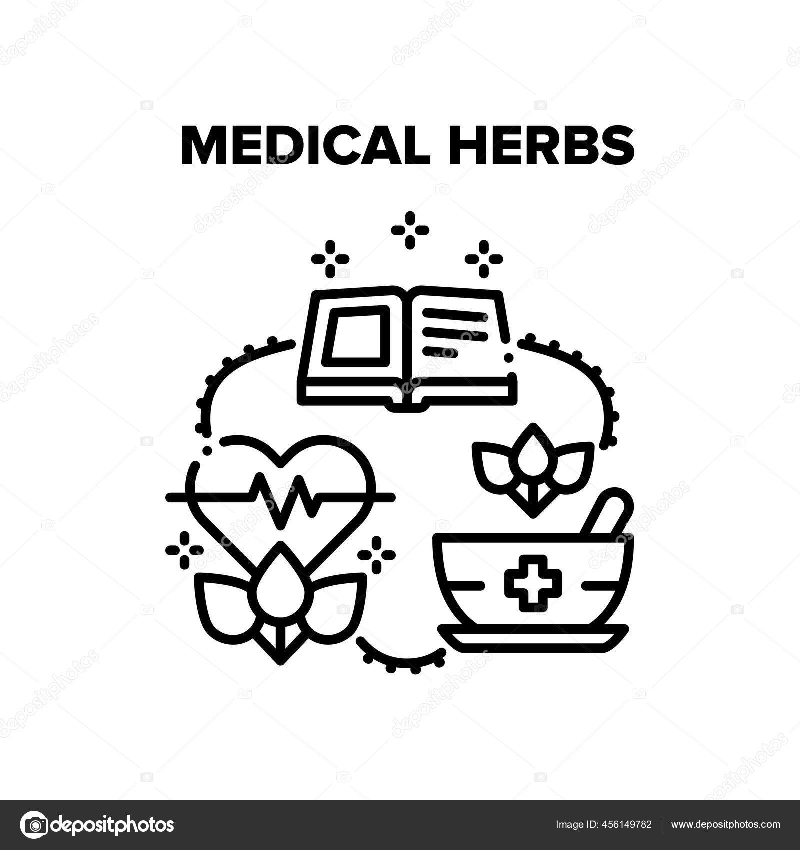 Hierbas médicas Vector Negro Ilustraciones Vector de stock #456149782 ...