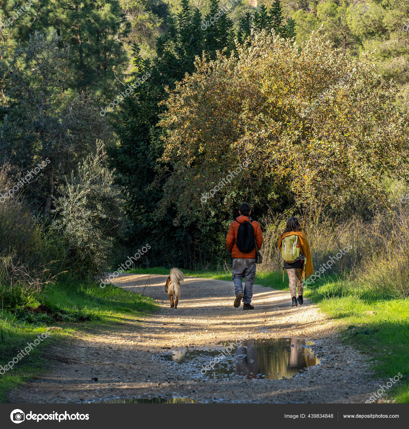 Couple Hiking Forest Path Dog Sunny Winter Day — Stock Photo © emoish ...