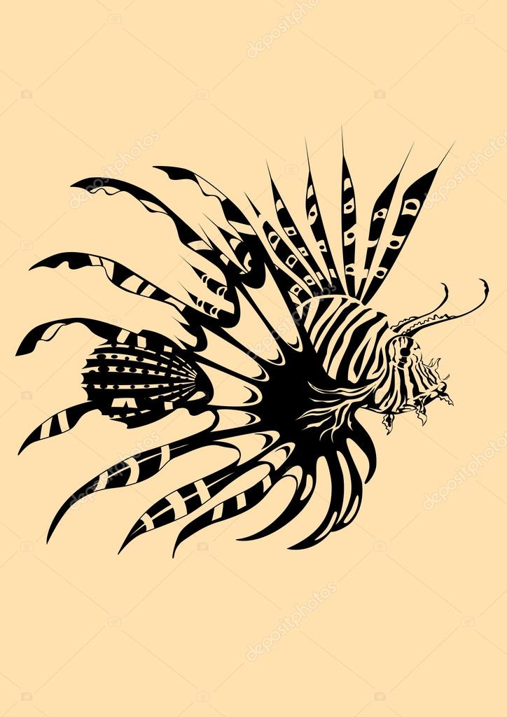 Lion fish Stock Vector Image by ©Koryaba #59415209