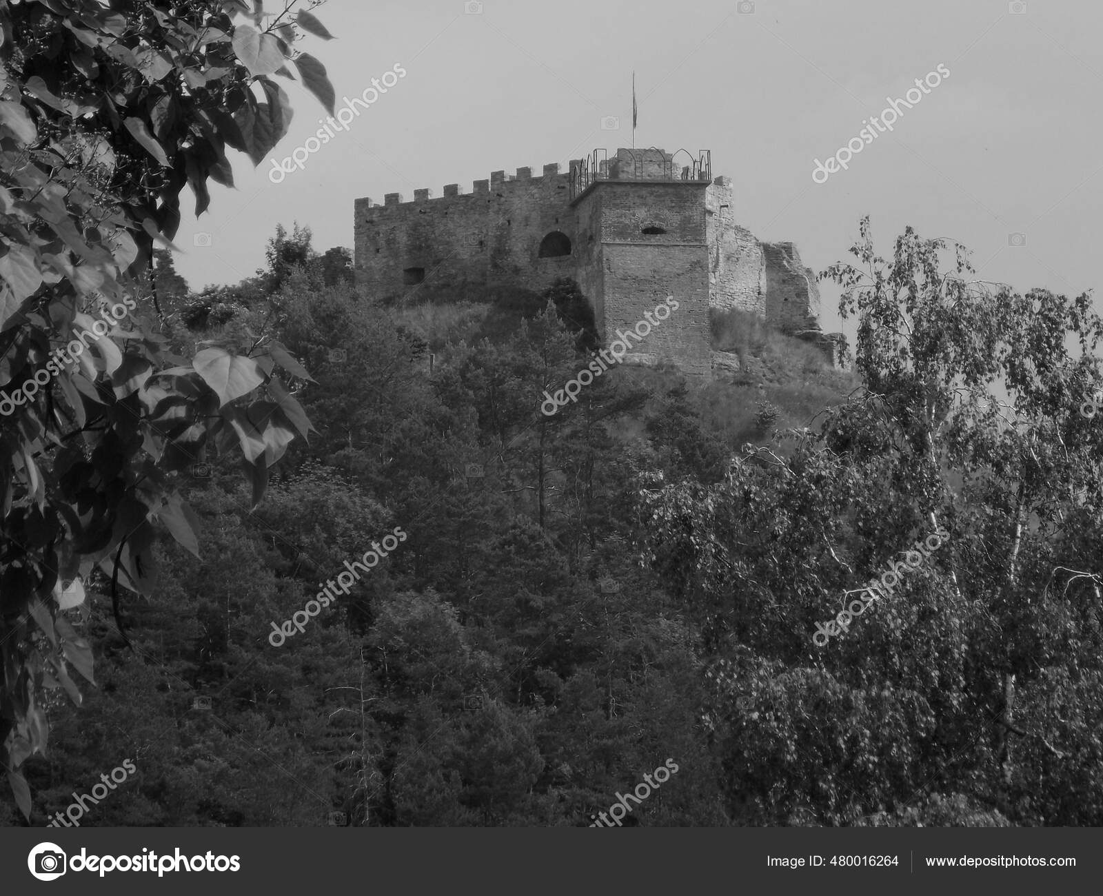 General View Castle Hill — Stock Photo © stpan_kre #480016264