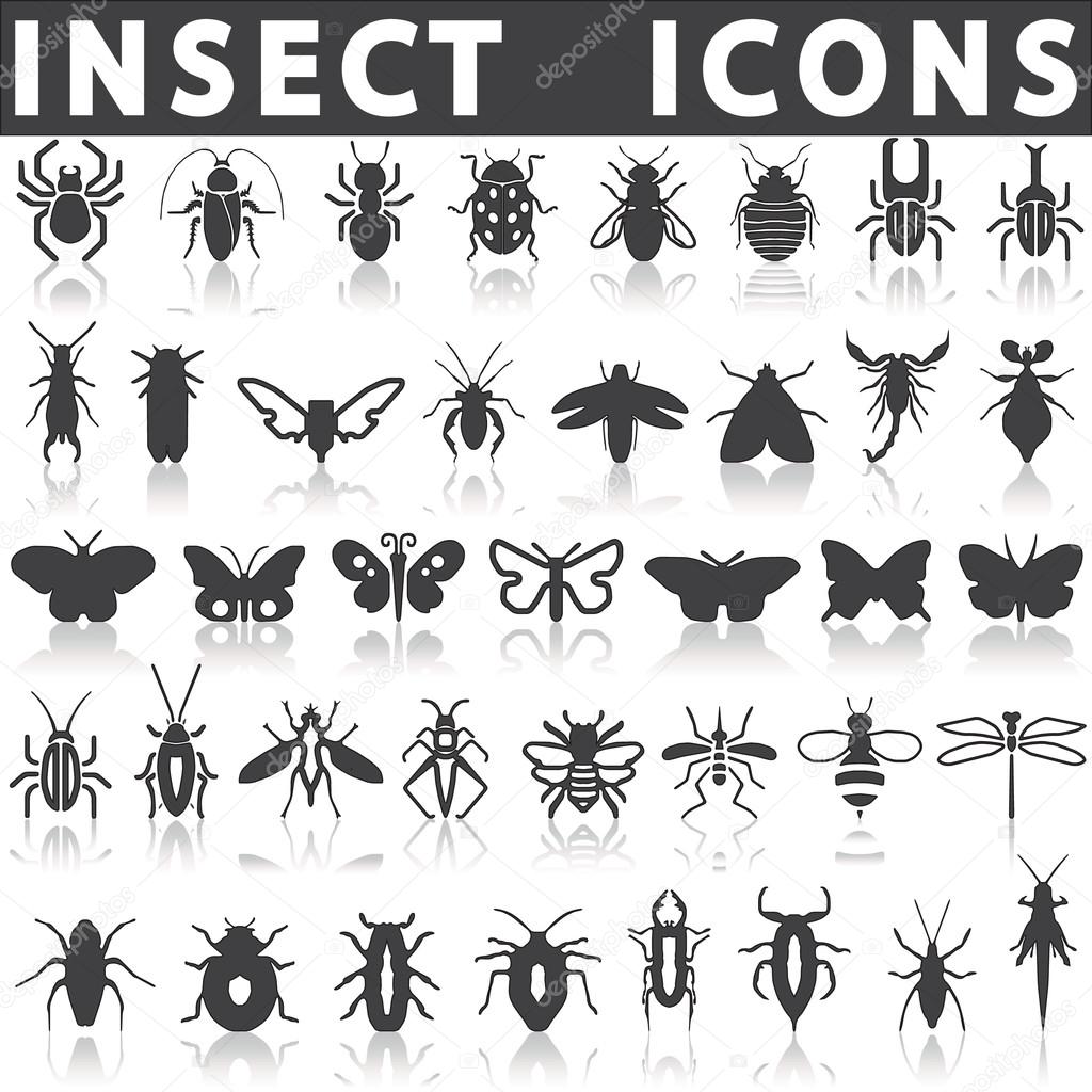 Insect icons on a white background Stock Vector Image by ©Chege011 ...