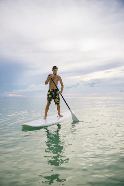 Man stand up on paddle board at sunset - Stock Image - Everypixel