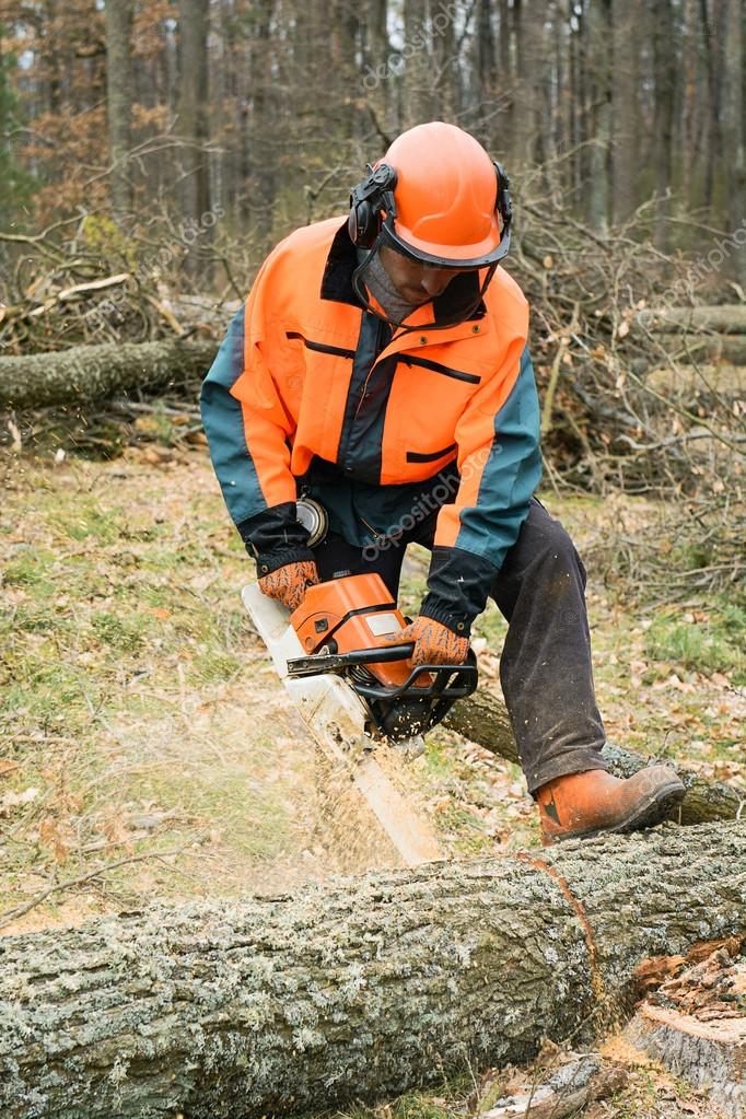 Loggers Chainsaw