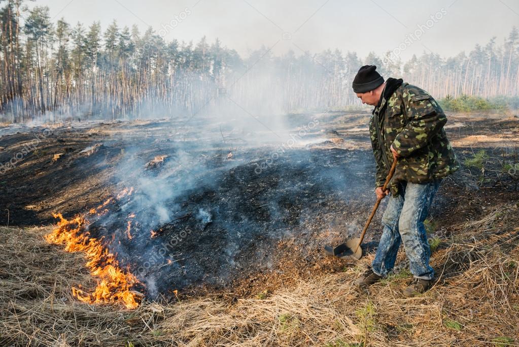 Firefighter use leafs branch for forest fire suppression – Stock ...