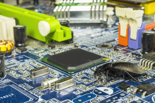 Bug in computer - Stock Image - Everypixel