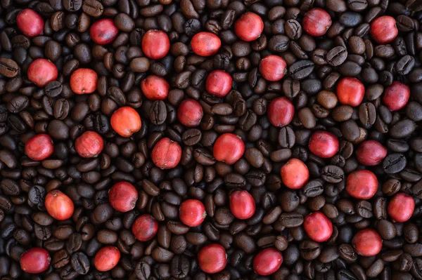 Coffee red beans Stock Photos, Royalty Free Coffee red beans Images ...