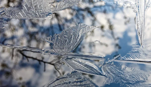 Ice patterns - Stock Image - Everypixel