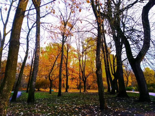 Park background Stock Photos, Royalty Free Park background Images ...