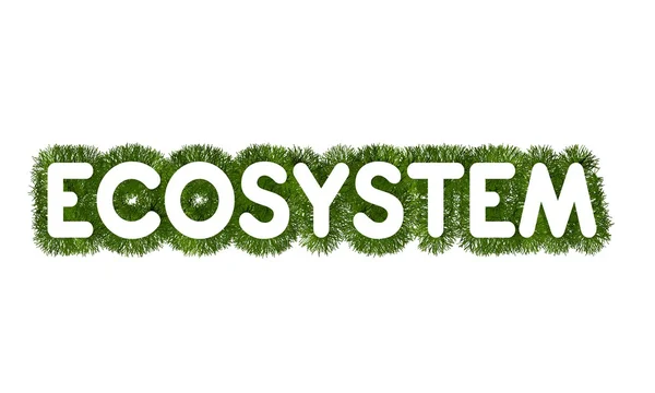 Changes in the ecosystem Vector Art Stock Images | Depositphotos
