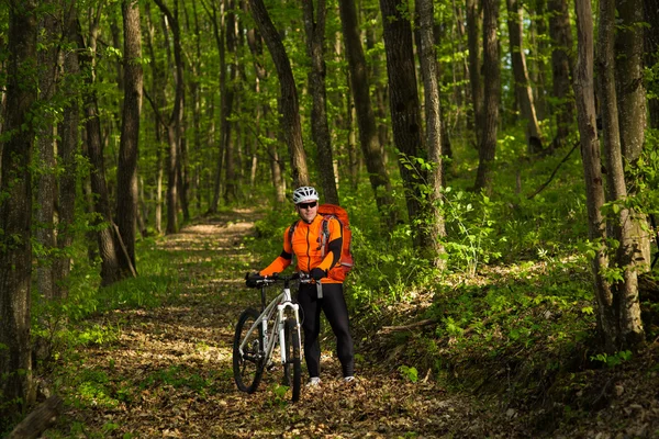 Cyclist Riding the Bike on a Trail in Summer Forest - Stock Image ...