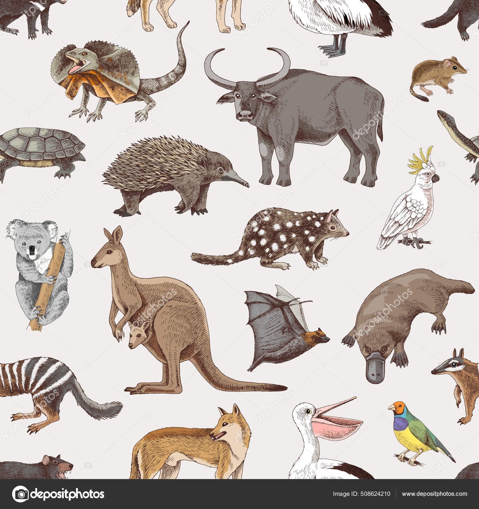 Hand drawn seamless pattern of Australian animals Stock Vector Image by ...