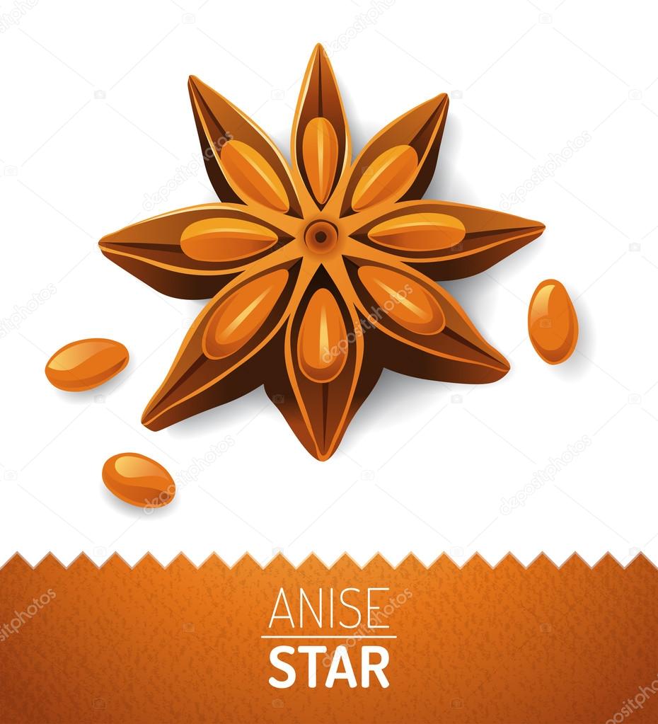 Anise star Stock Vector Image by ©mart_m #60036365