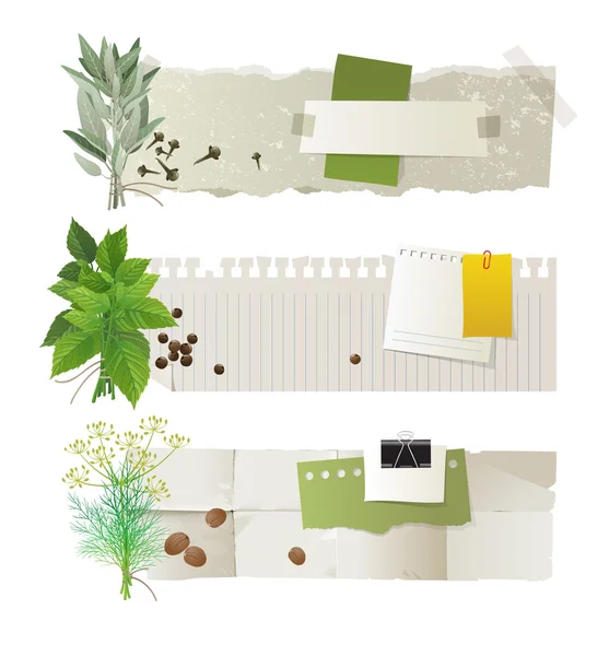 Sage Vector Art Stock Images | Depositphotos