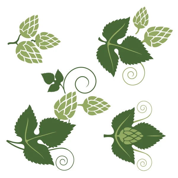 ᐈ Hops design stock vectors, Royalty Free hops backgrounds | download ...