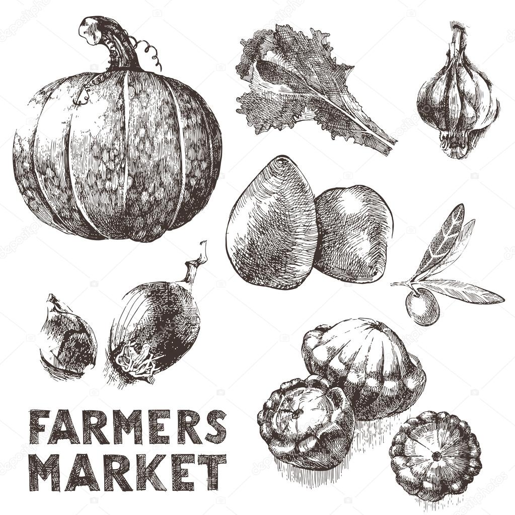 Hand drawn vegetables Stock Vector Image by ©mart_m #60043315