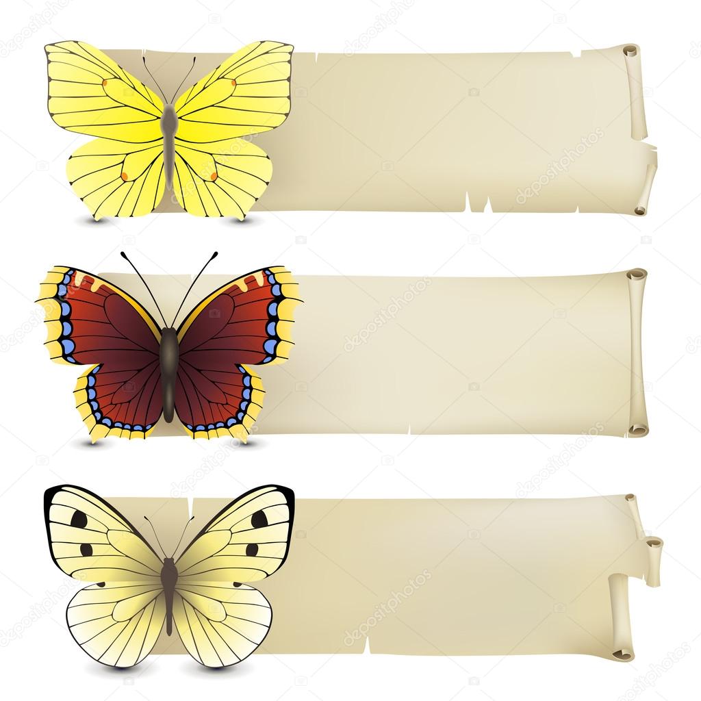Butterfly banners Stock Vector by ©mart_m 60049861