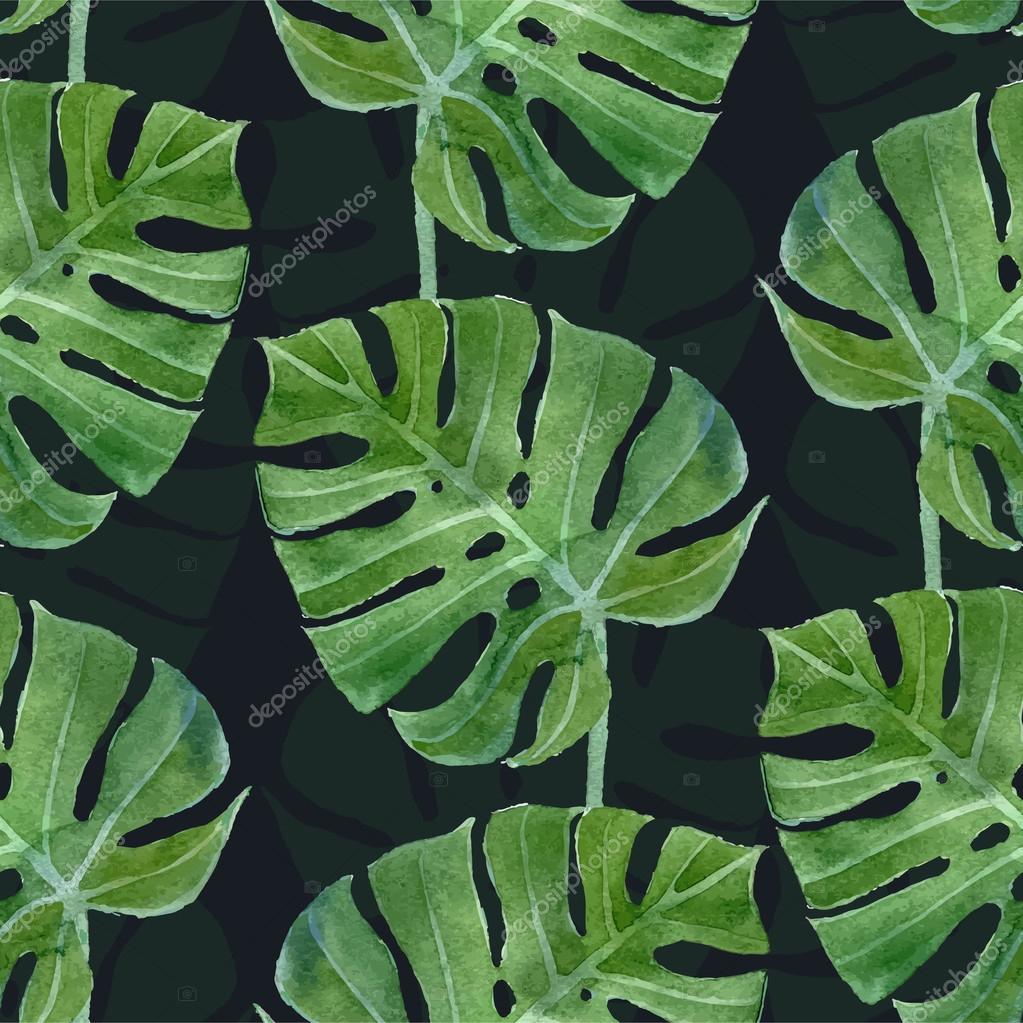 Monstera Pattern