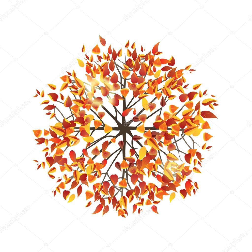 Clipart trees top view