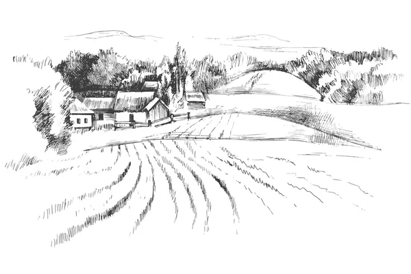 Field drawing, Royalty-free Field drawing Vector Images & Drawings ...