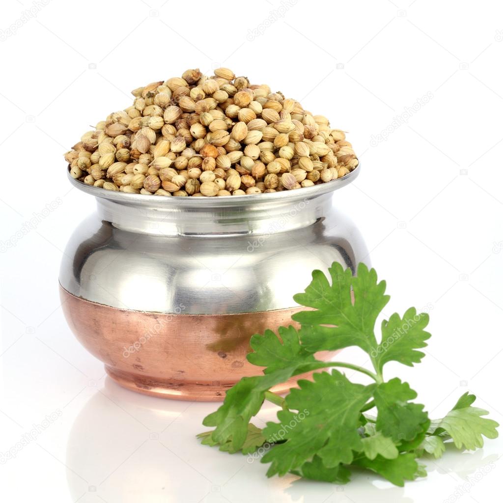 Bowl of coriander seeds on white background Stock Photo by ...
