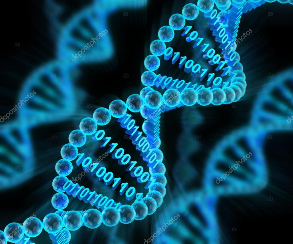 DNA molecules with binary code, 3d render Stock Photo by ©ymgerman 65810071