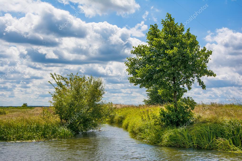 Paisaje con río, árboles y nubes tormentosas en el cielo. 2022