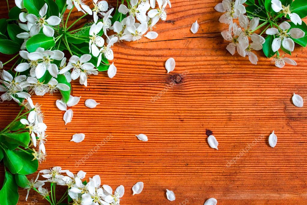 Wood background with spring flowers — Stock Photo © kurdigo #73234023