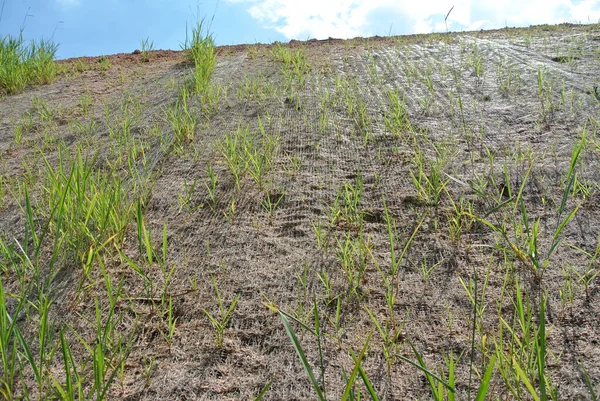 Soil floating island Stock Photos, Royalty Free Soil floating island ...