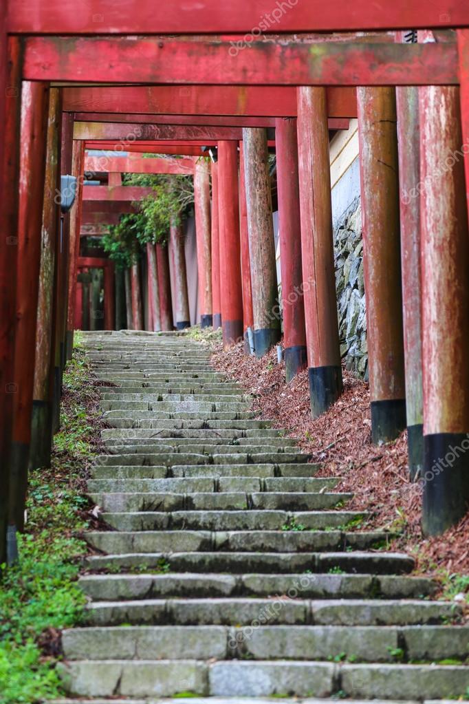 Stairs with a line of traditional Japanese torii gates Stock Photo by ...