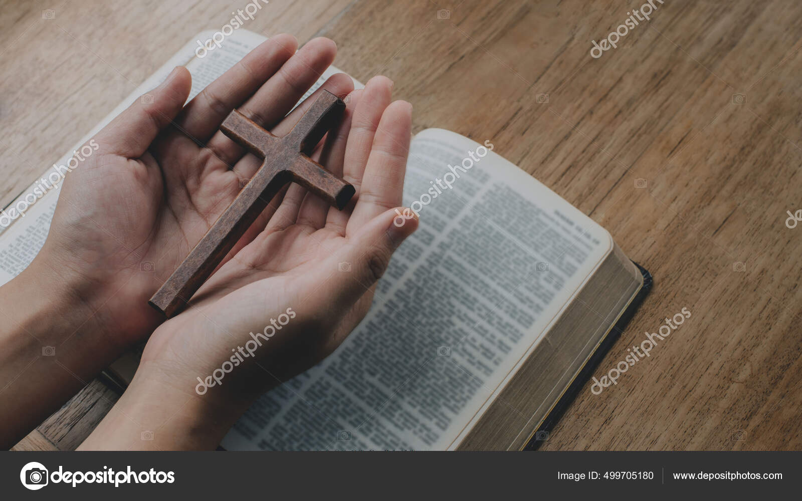 Praying Hands Bible
