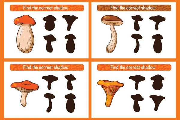 100,000 Anatomia dei funghi Vector Images | Depositphotos