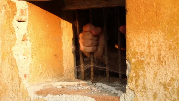 Behind Bars ⬇ Video by © Stock_Pro Stock Footage #63763073