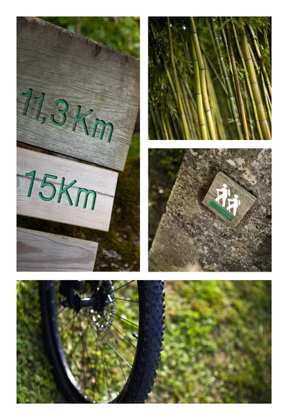 Mountain biking trail Stock Photos, Royalty Free Mountain biking trail ...
