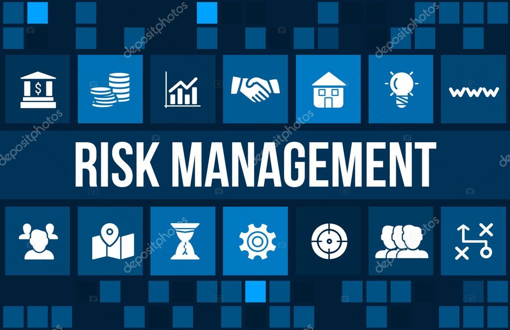 Business Risk Management Icon