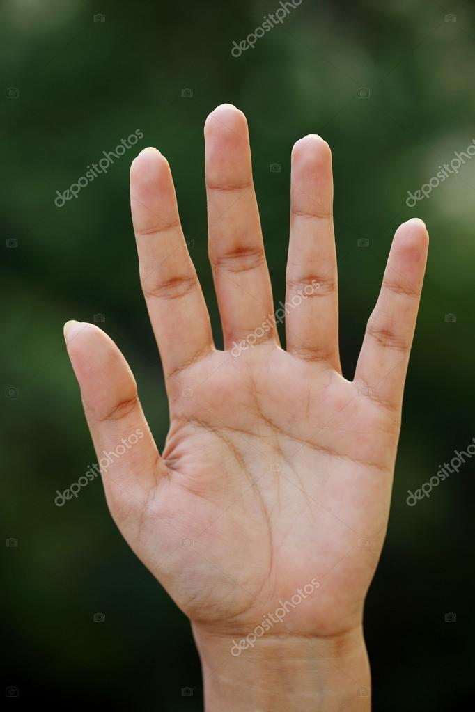 Woman open hand against green background — Stock Photo ...