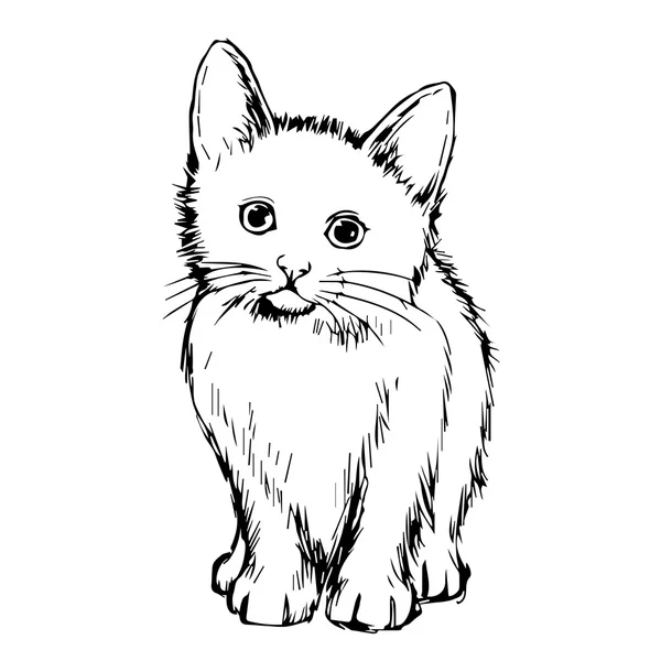 Freehand Sketch Illustration Cat Kitten Doodle Hand Drawn — Stock Photo ...
