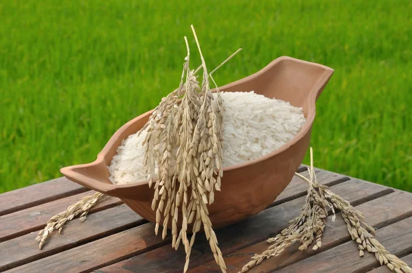 Paddy rice on wood table in rice field background - Stock Image ...