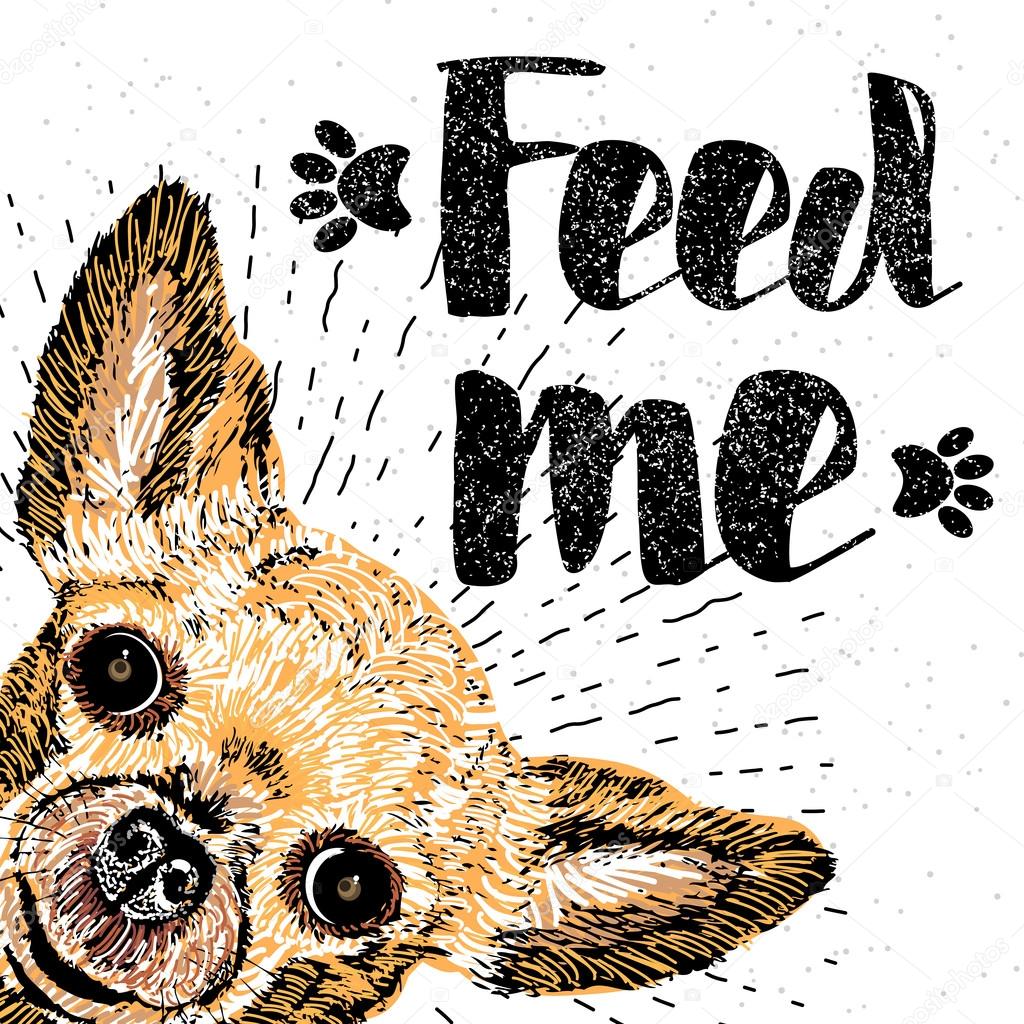 Feed me. Illustration with hand drawn Stock Photo by ©goldenshrimp ...