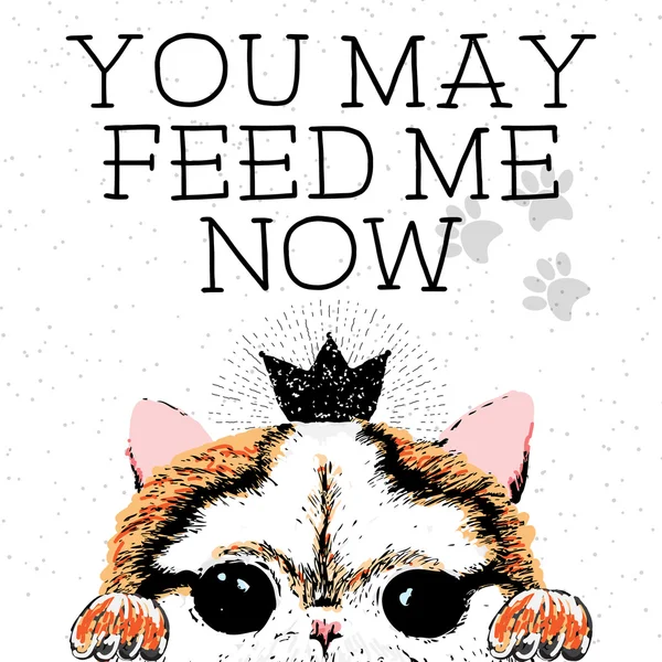 Feed Me Wallpaper