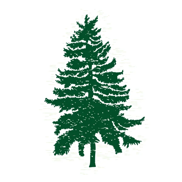 Silhouette of green pine tree Stock Vector Image by ©goldenshrimp ...