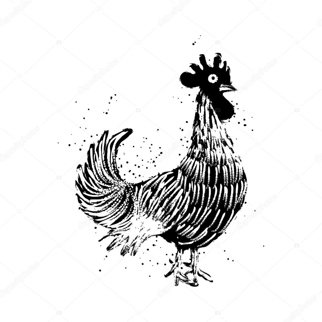 Vintage design with rooster Stock Vector by ©goldenshrimp 124774178