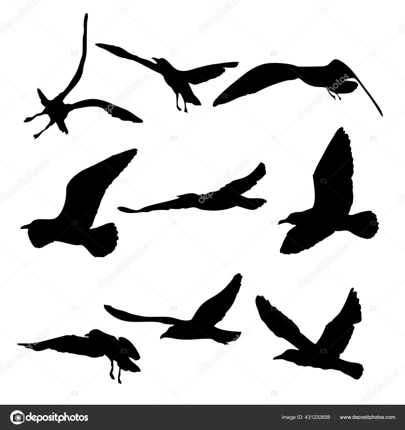 Silueta Aves Gaviotas Voladoras Sobre Fondo Blanco Inspiración Vela ...