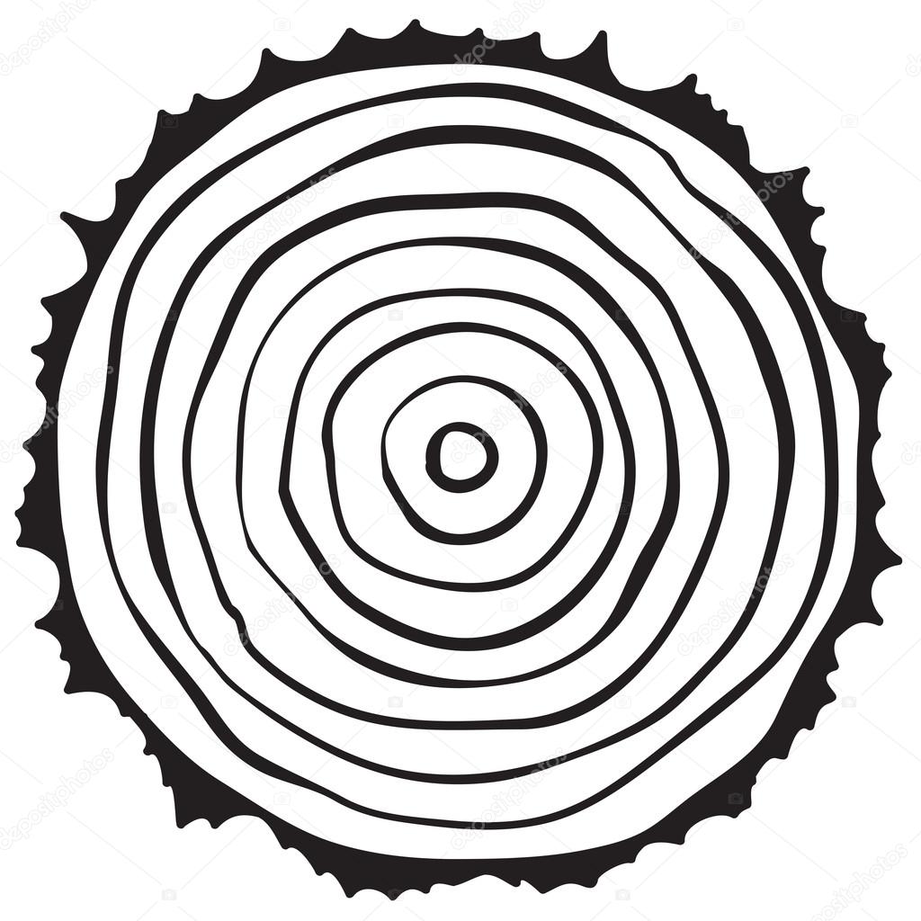 Tree Stump Rings Drawing