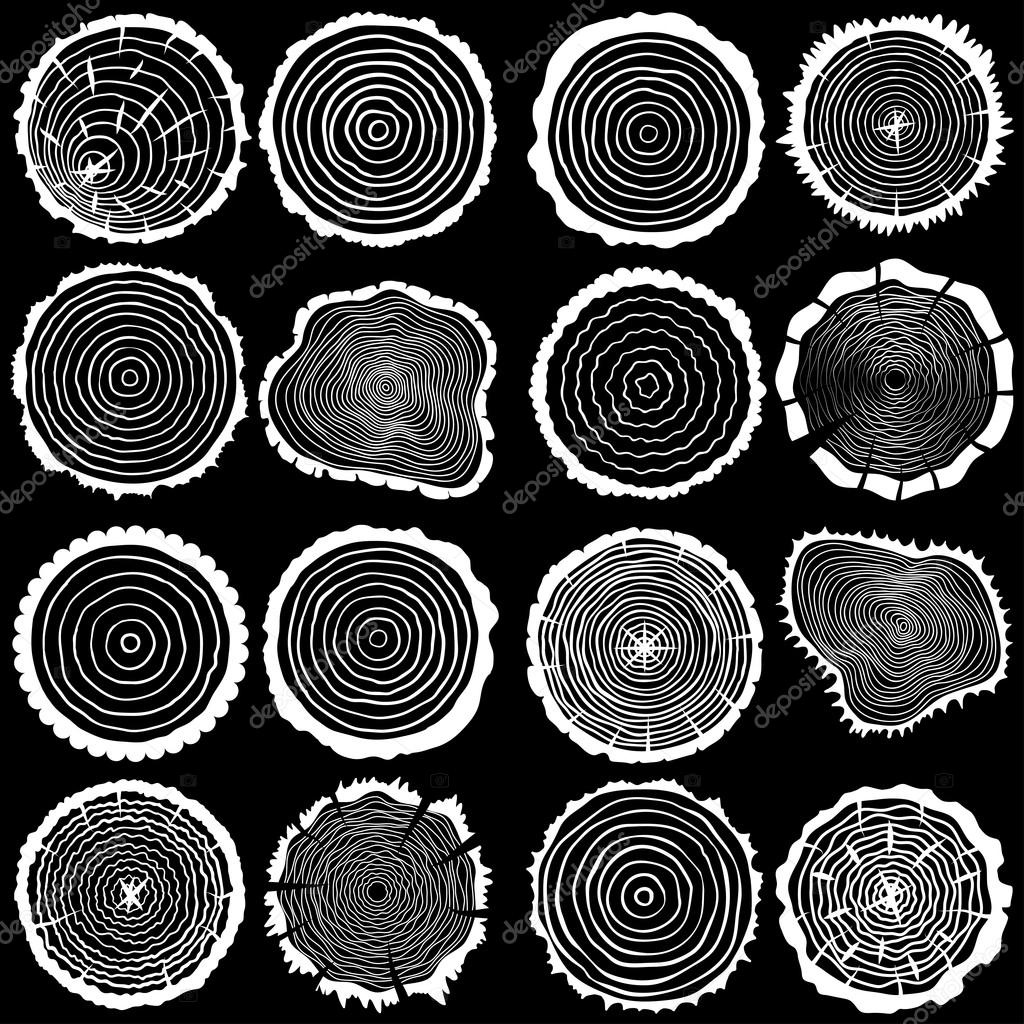 Cut tree trunk Stock Vector Image by ©goldenshrimp #71399855