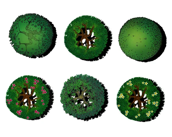 Architectural trees Stock Photos, Royalty Free Architectural trees ...