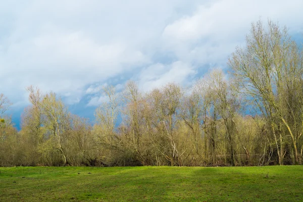 Field treeline Stock Photos, Royalty Free Field treeline Images ...