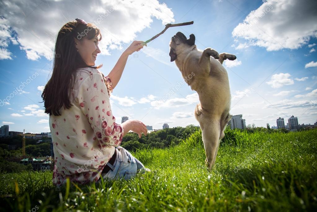 Dog Mops — Stock Photo © liukov #73858335