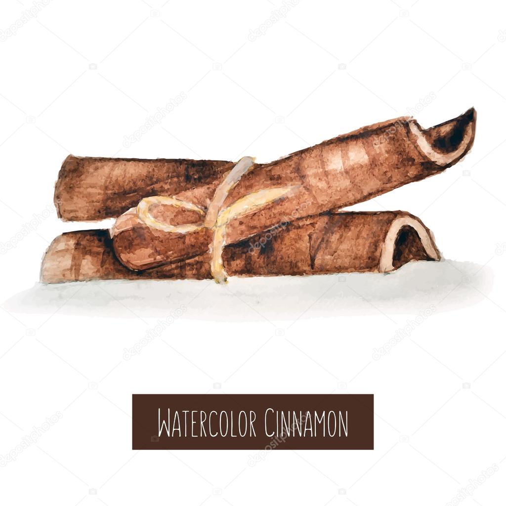 Acuarela dibujada a mano ilustraci n canela 2024